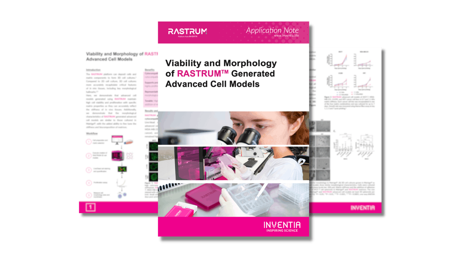 Viability And Morphology Of Rastrum™ Generated Advanced Cell Models